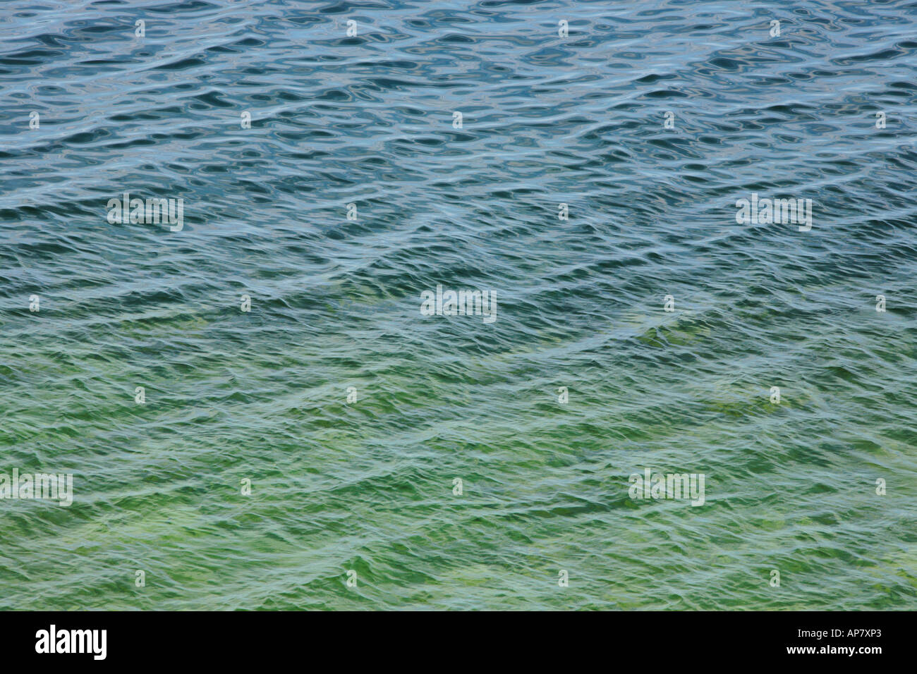 blue and green lakeshore waters of lake michigan rock island state park ...