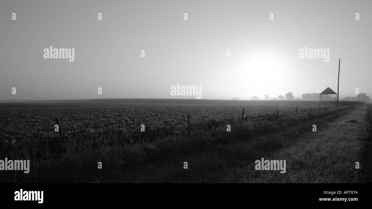 Illinois prairie landscape Black and White Stock Photos & Images - Alamy