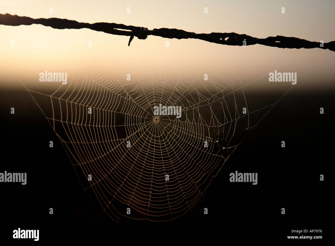 M wire hi-res stock photography and images - Alamy