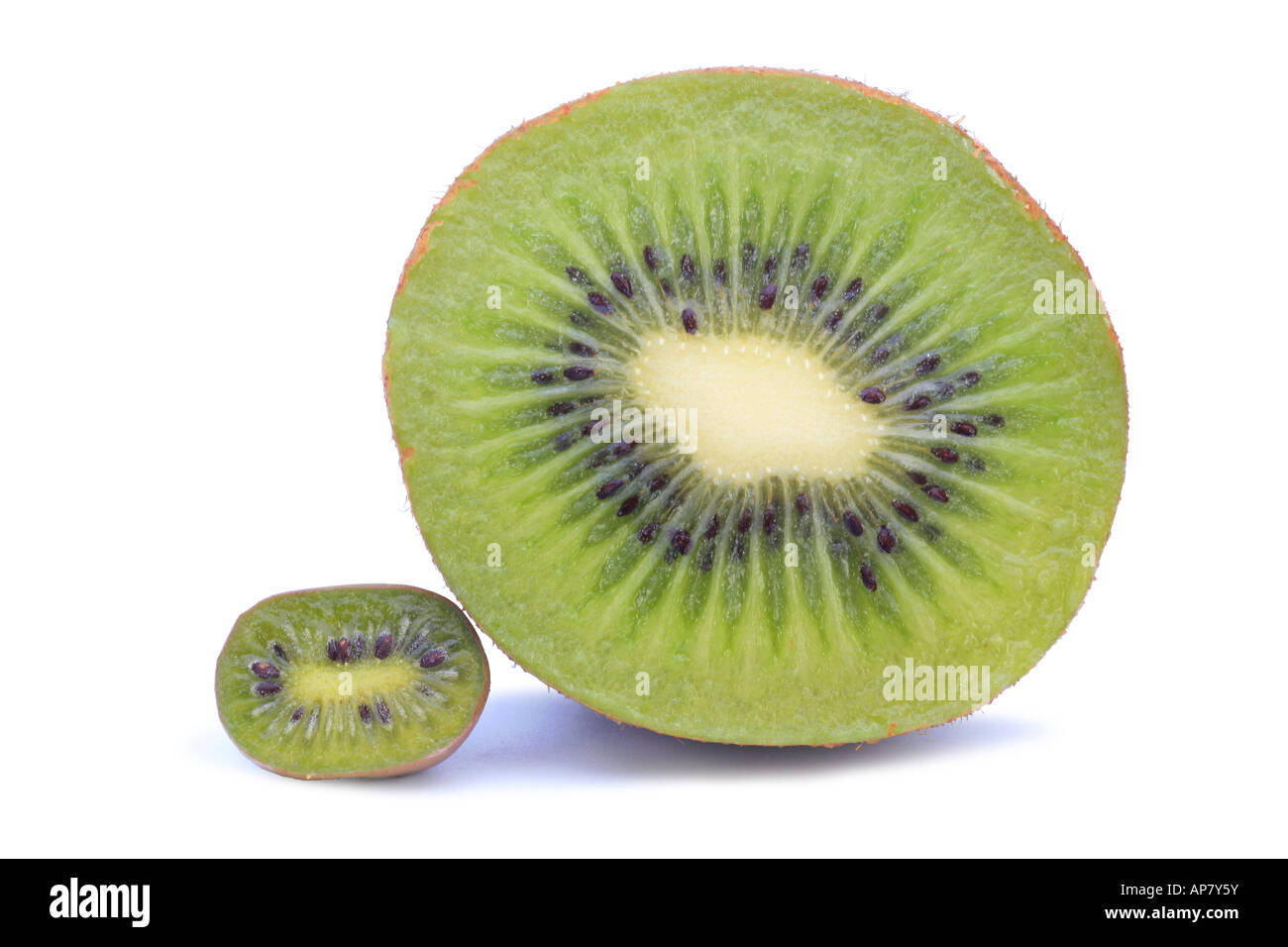 Tara Vine Bower Actinidia Mini Kiwi size comparision of the fruits of ...