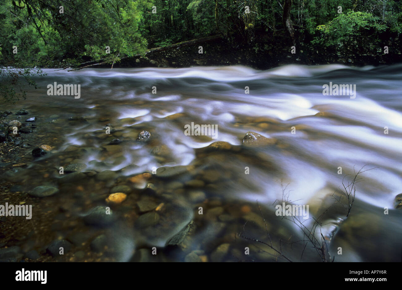 Gordon river hi-res stock photography and images - Alamy