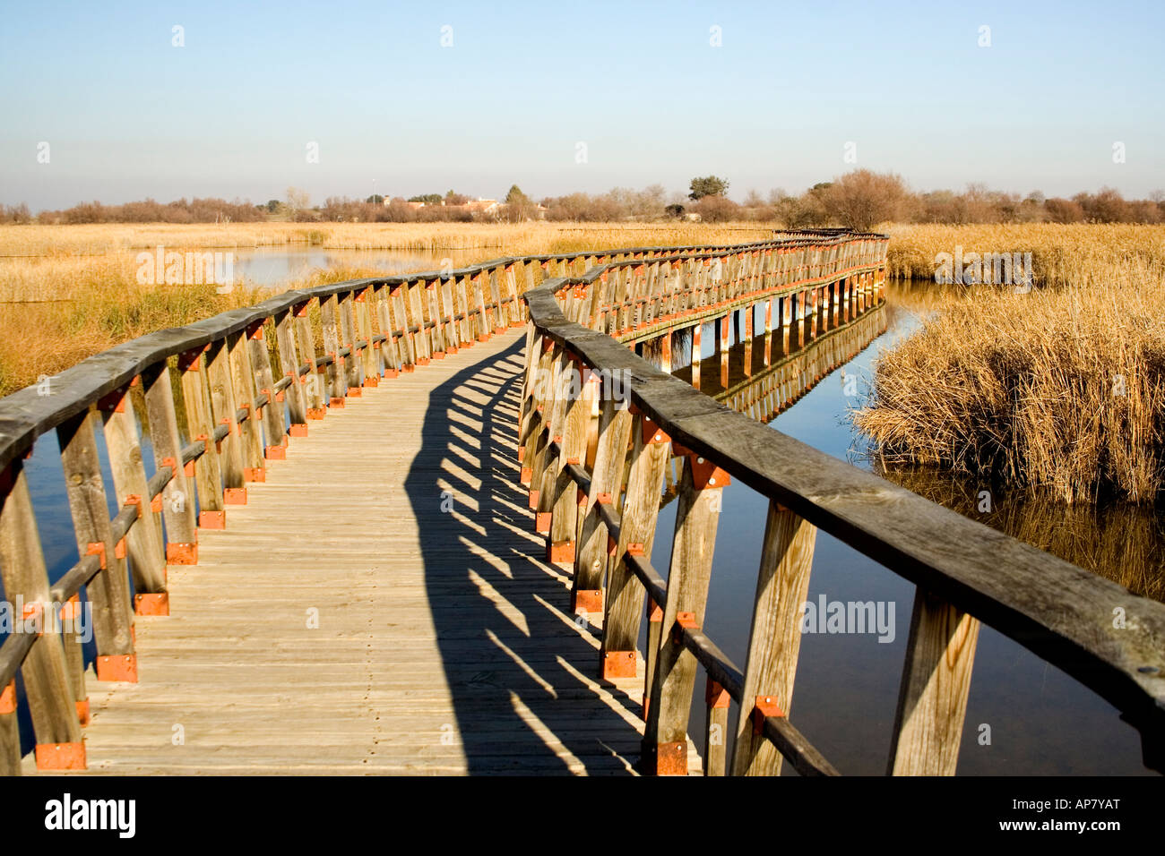 A lonely path Stock Photo - Alamy