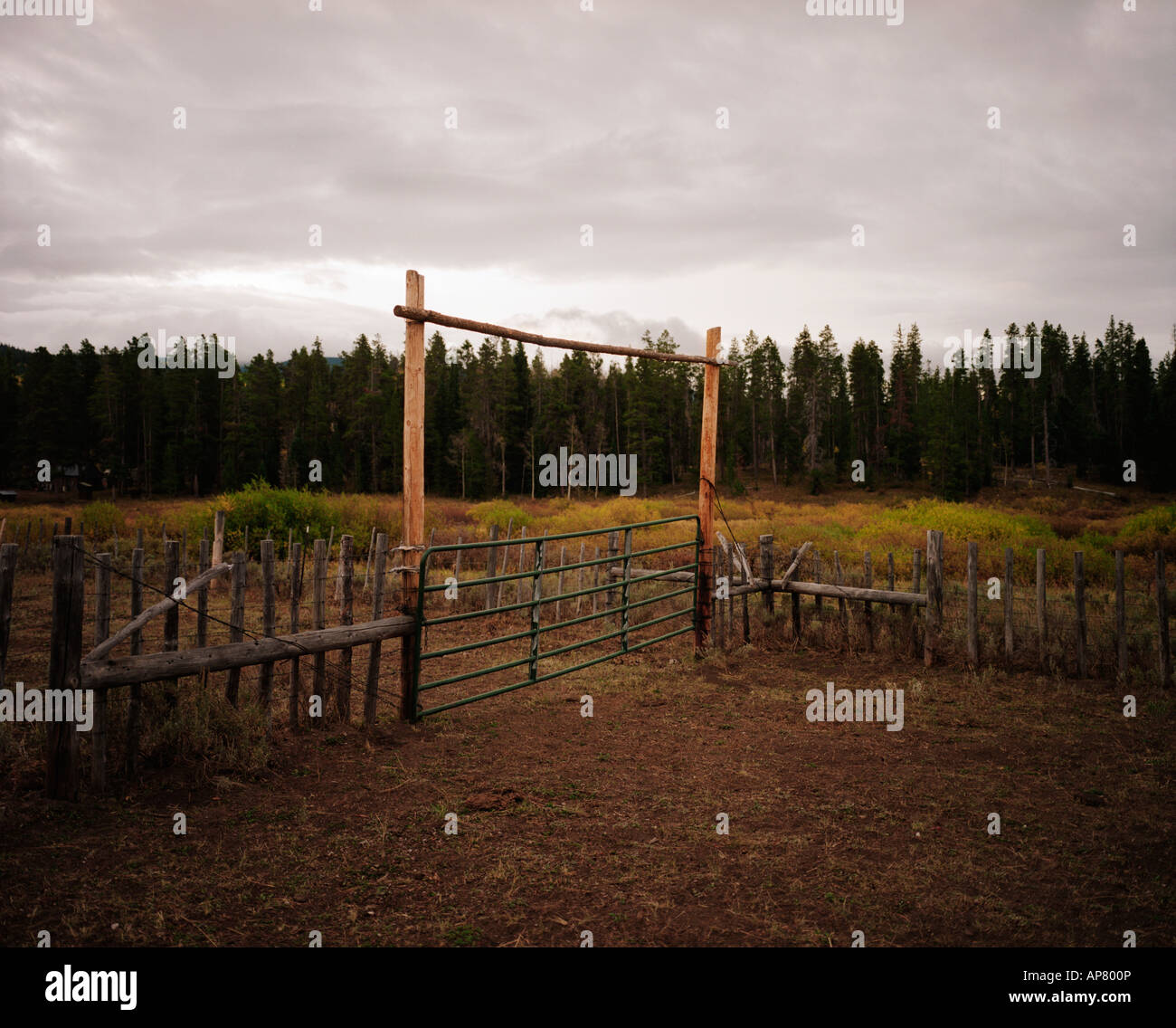 Ranch corral hi-res stock photography and images - Alamy