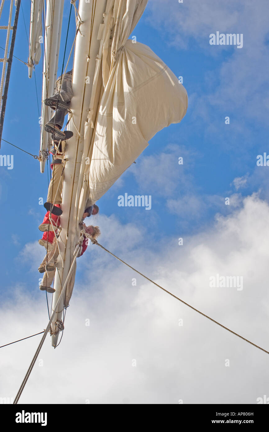 Newfoundland Bay of Islands Concordia sail setting sail sailing Stock ...