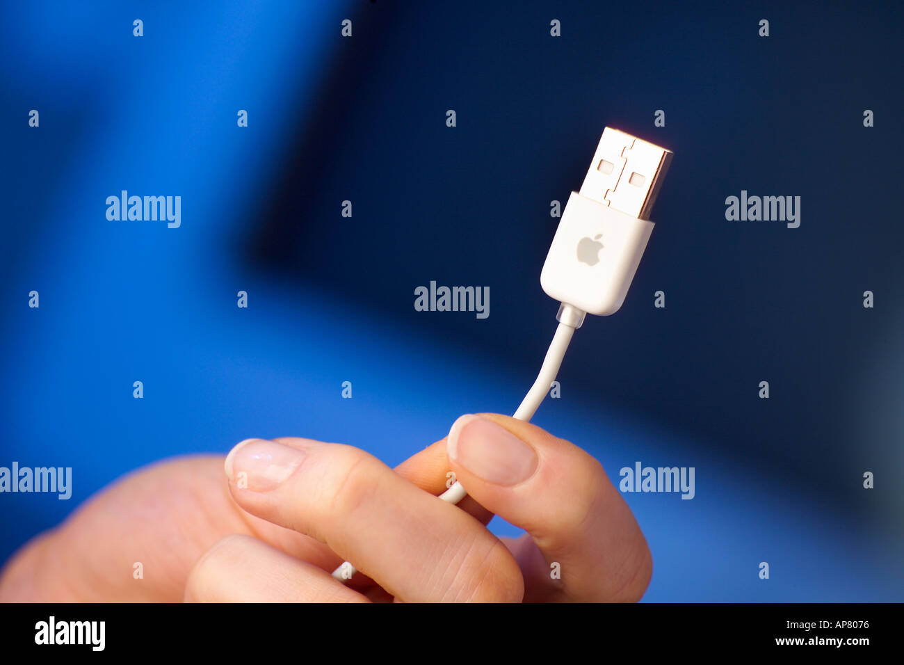 Hand holding cable with USB plug Stock Photo - Alamy