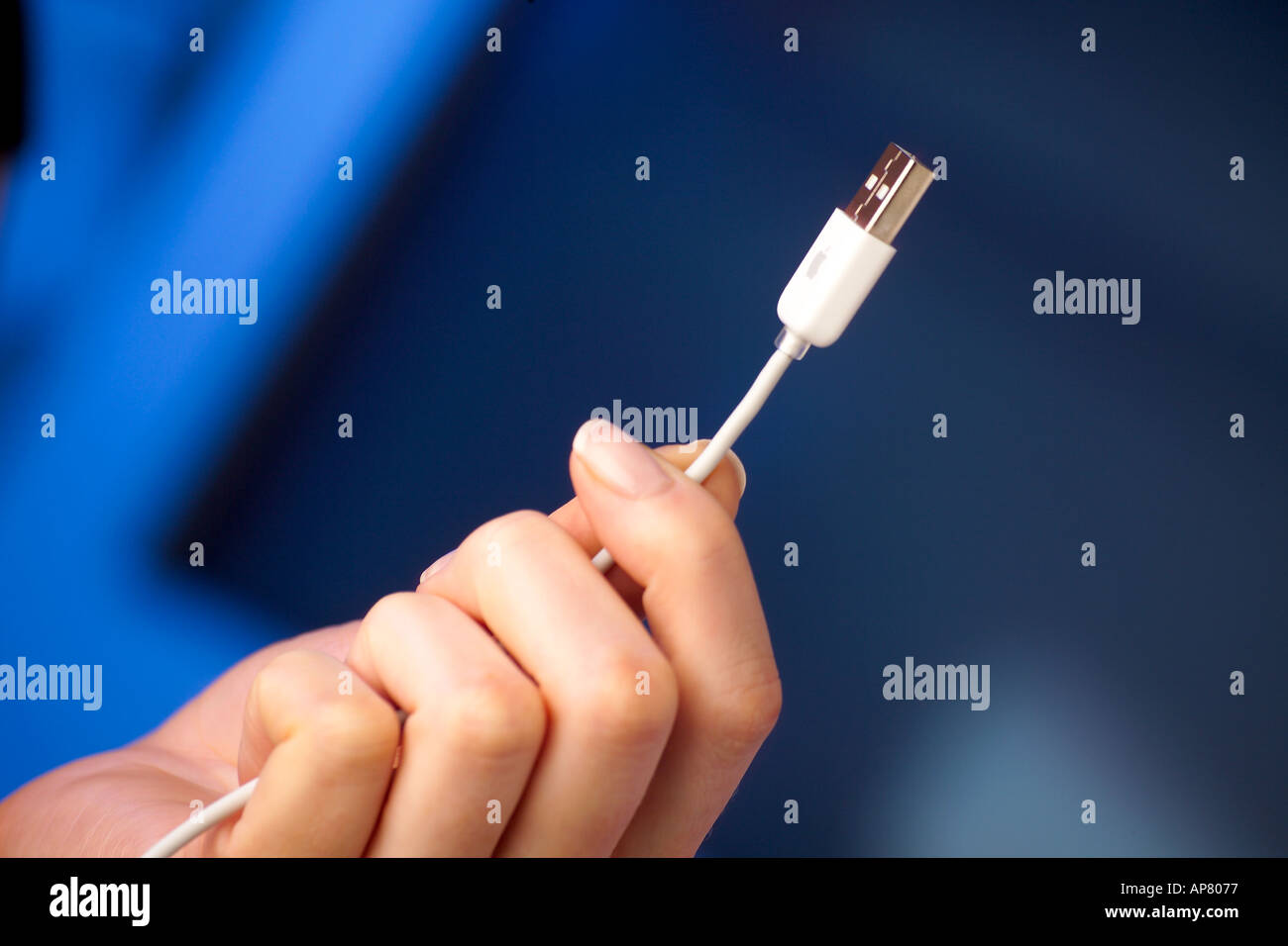 Hand holding cable with USB plug Stock Photo - Alamy