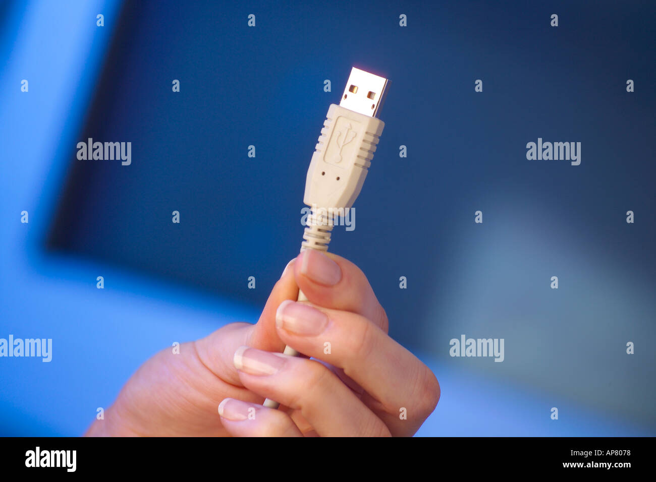 Hand holding cable with USB plug Stock Photo - Alamy