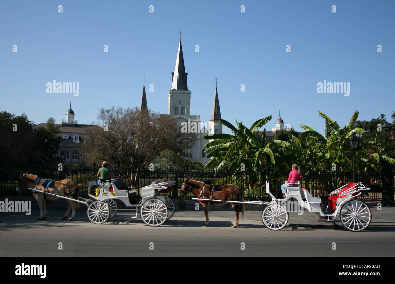 horse drawn carriages and St Louis Cathedral Jackson Square French ...