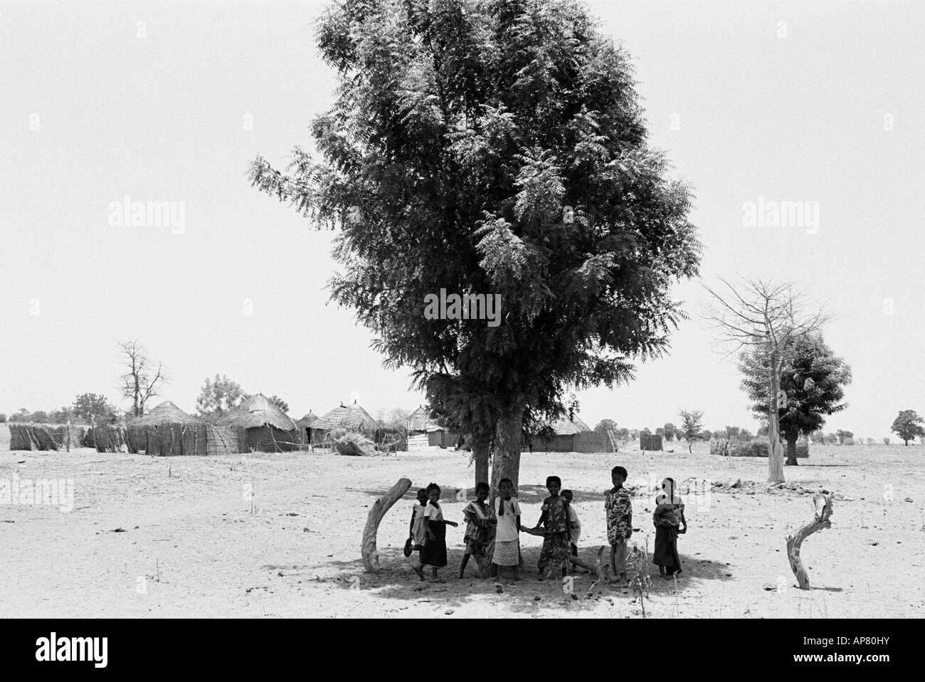 children under tree in Africa Stock Photo - Alamy