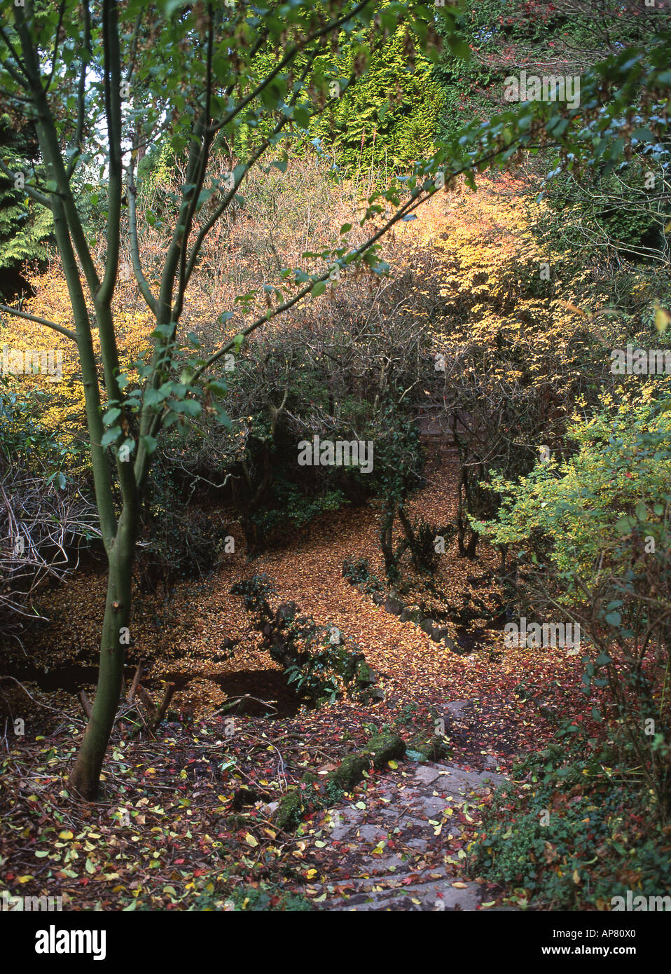 Lisvane hi-res stock photography and images - Alamy