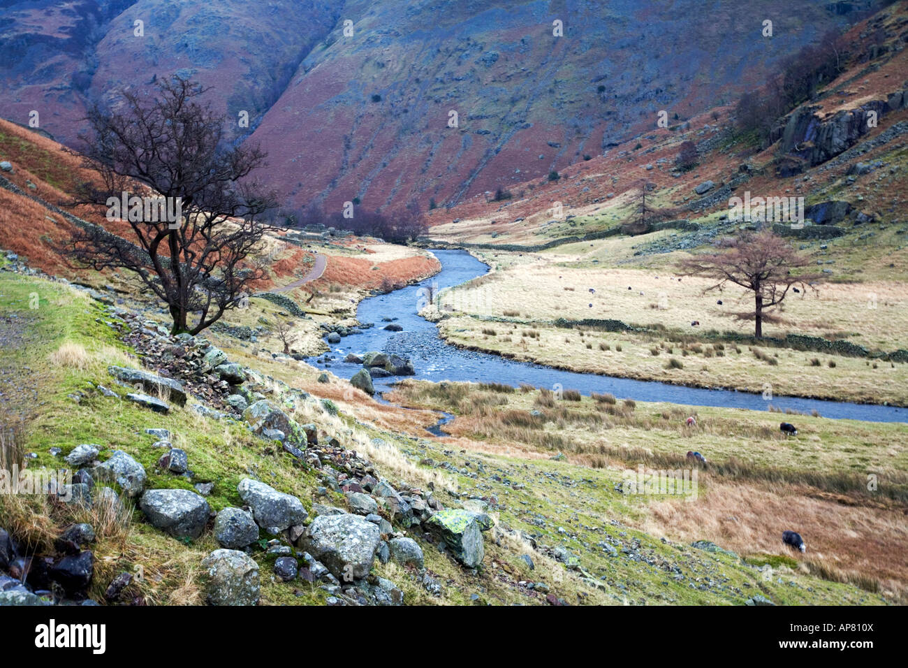 colourful fellside blue ribbon of Langstath beck waters Langstrath ...