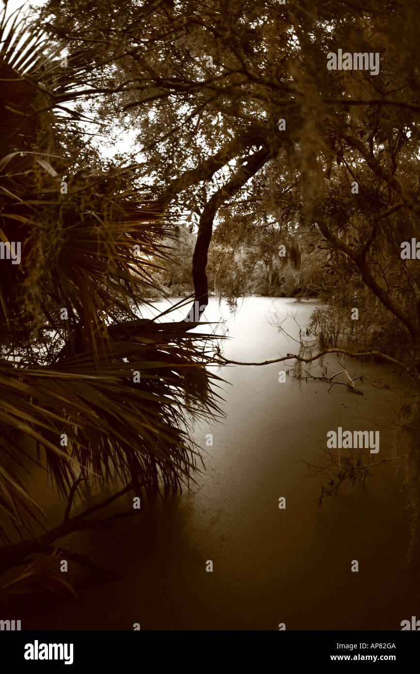 hidden lake cumberland island national seashore georgia p keywords lake ...