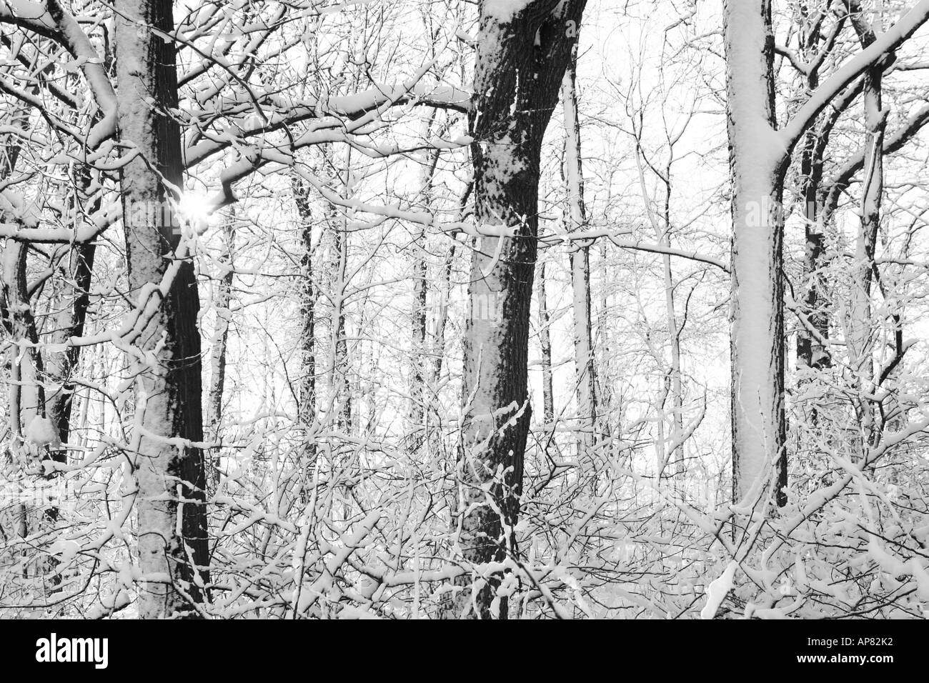 Cook county forest preserve hi-res stock photography and images - Alamy