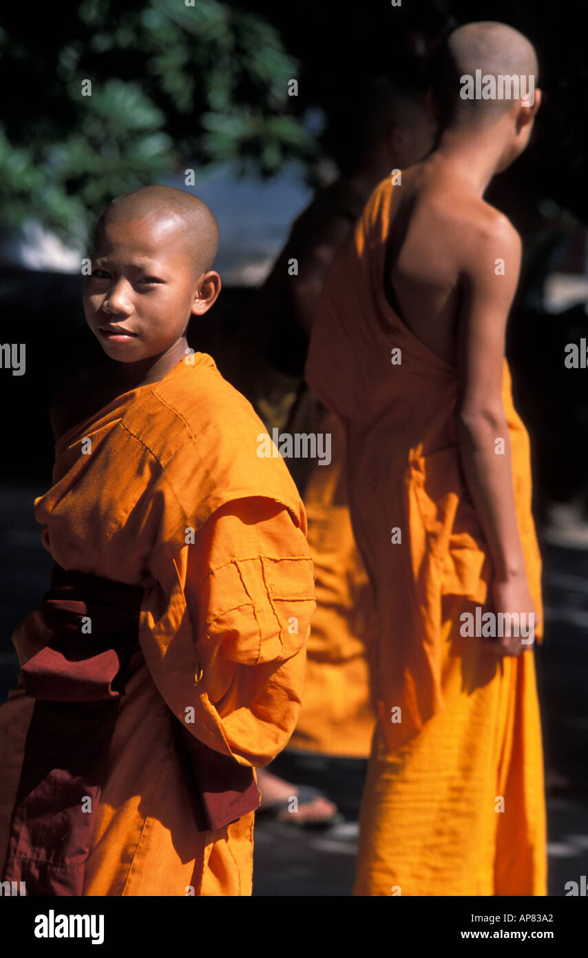 Saffron robed novice monks taking a break between prayers and lunch Wat ...