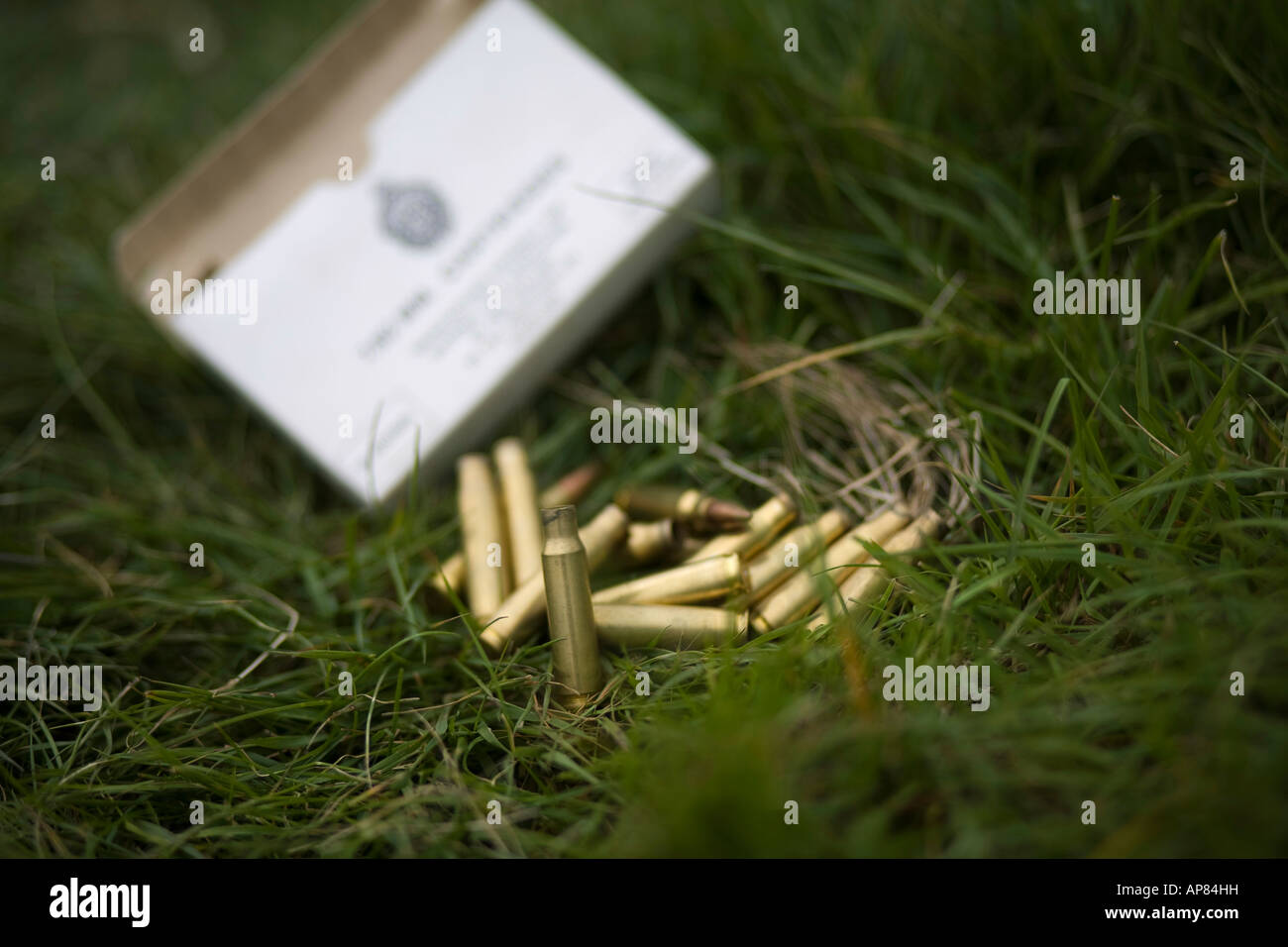 308 shells hi-res stock photography and images - Alamy