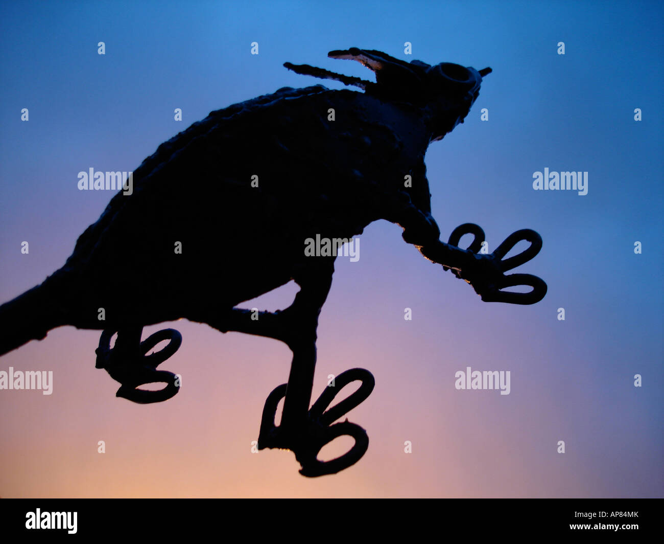 Flying gecko hi-res stock photography and images - Alamy