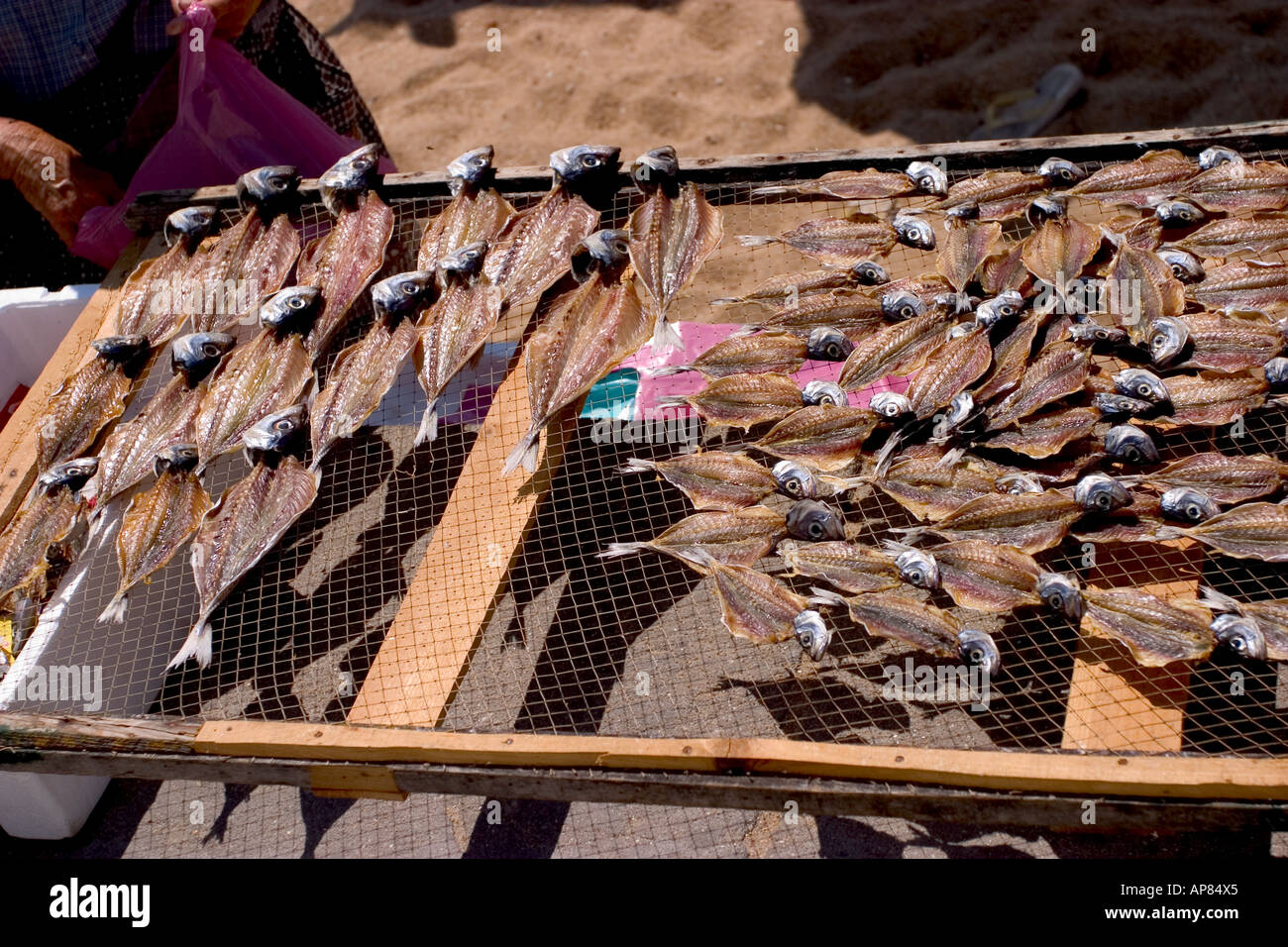 Fish drying and sellor woman at Nazare beach Portugal Stock Photo - Alamy