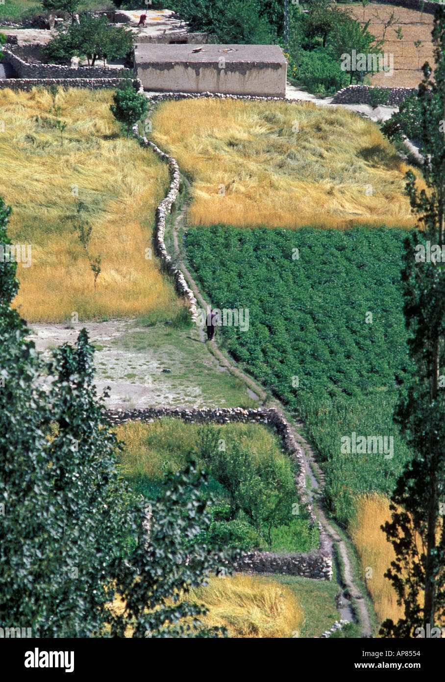 Sust hi-res stock photography and images - Alamy