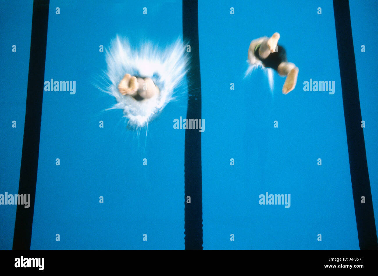 High angle view of two people diving in a swimming pool Stock Photo - Alamy