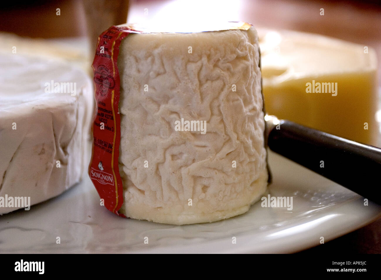 selection of cheeses Stock Photo - Alamy