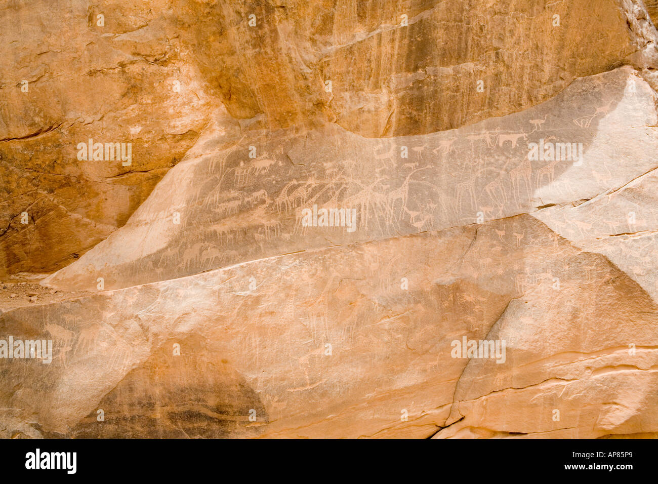 Karkhur talh art hi-res stock photography and images - Alamy