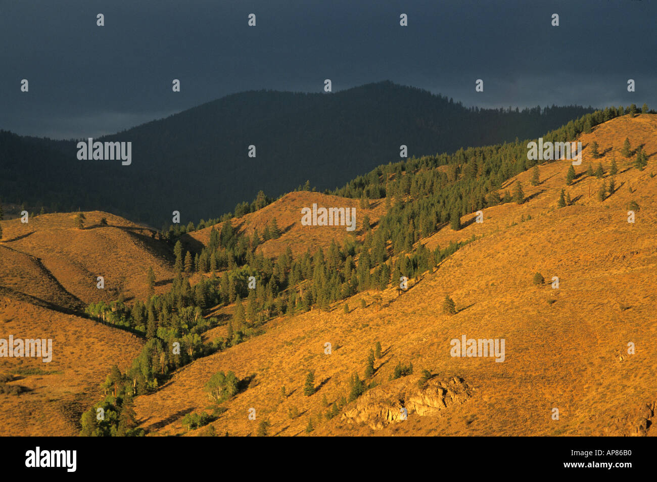 Methow Valley Okanogan County Washington State USA Stock Photo - Alamy