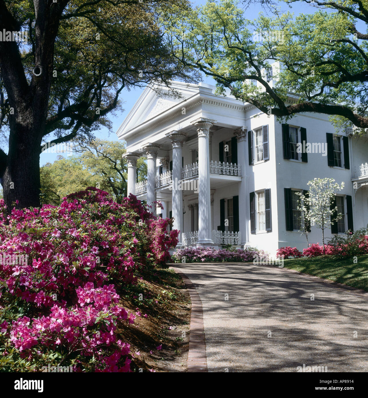 Pathway towards house, Melrose Estate, Natchez National Historical Park ...