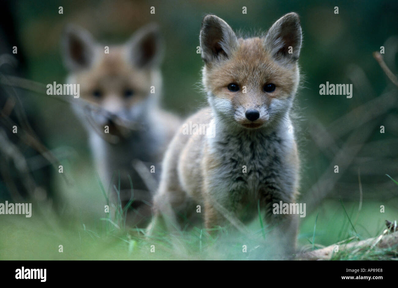 The fox sisters hi-res stock photography and images - Alamy