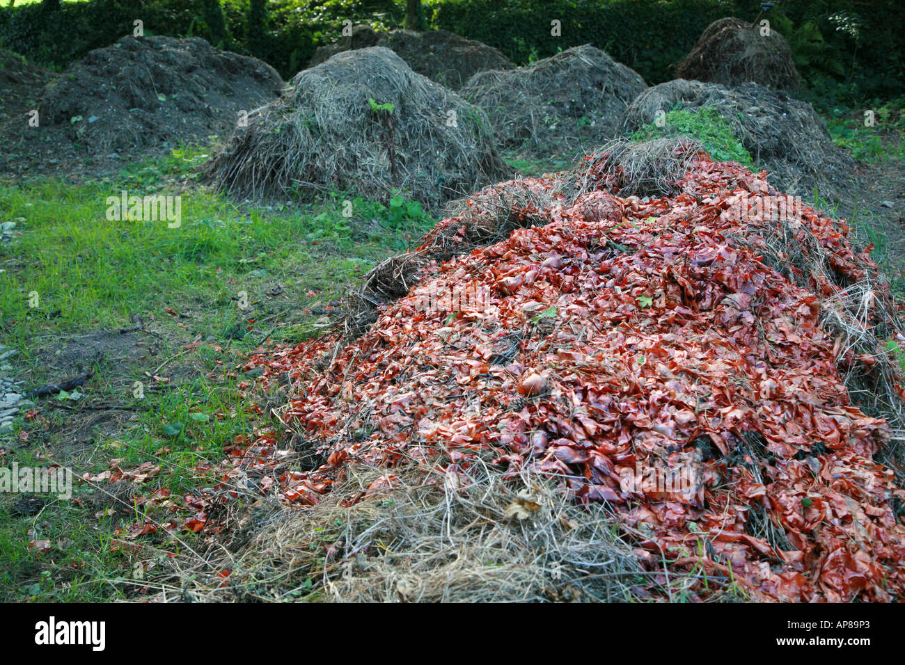 Compost heaps at the bottom of an English garden Stock Photo - Alamy