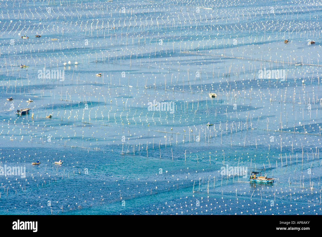 Fish Farming in Lingshui China Stock Photo - Alamy