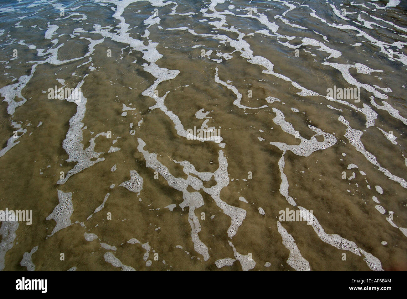 Sea water foam flowing on the surface Stock Photo - Alamy