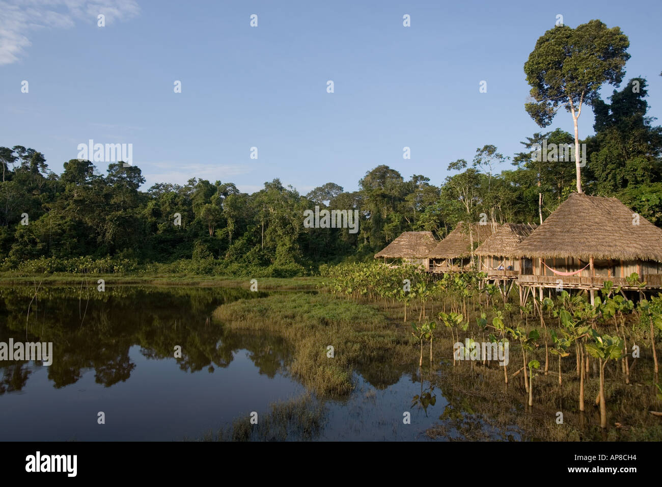 Cabins at the Kapawi Ecolodge off the Pastasa river Ecuador South ...