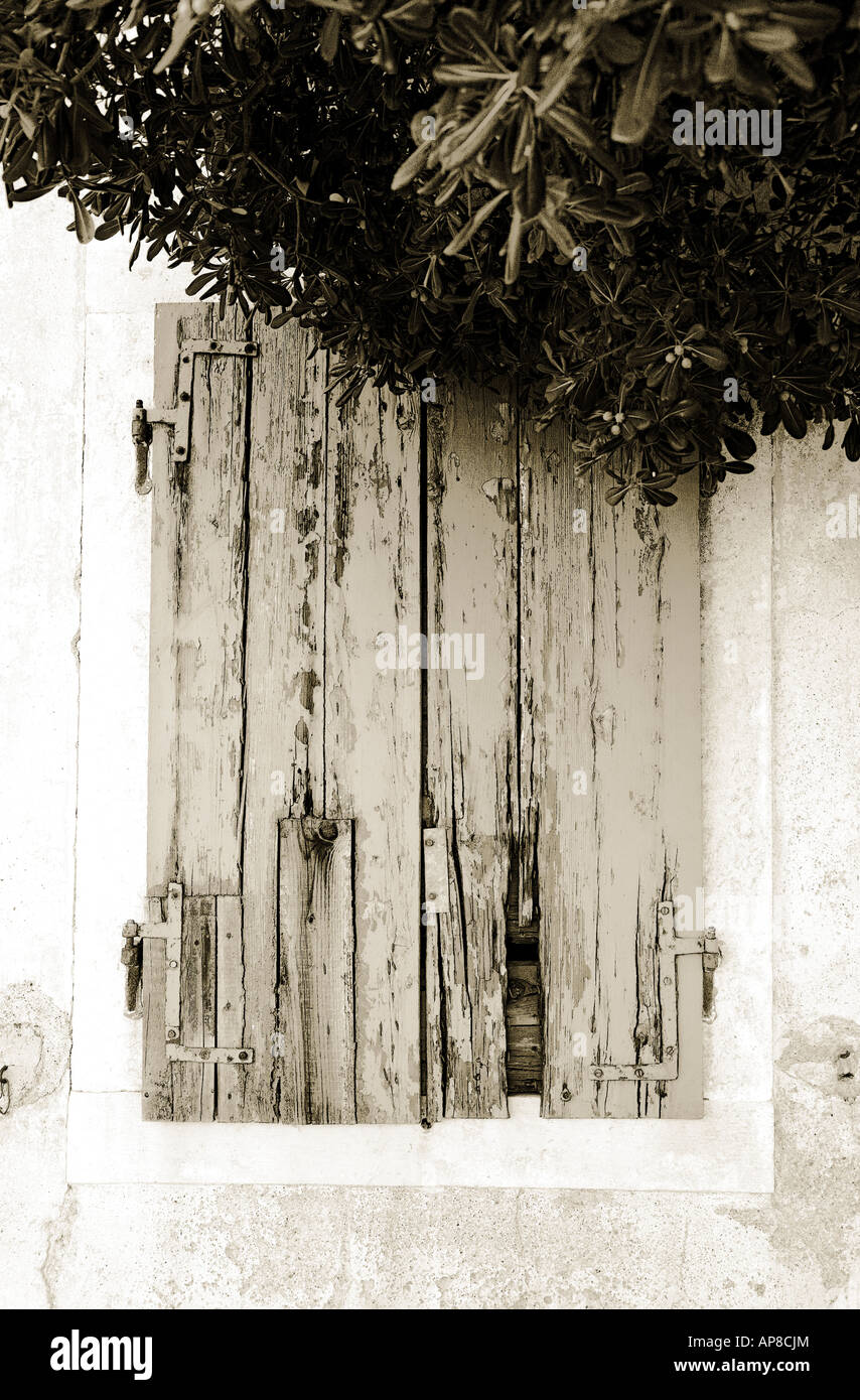 Rotten house hi-res stock photography and images - Alamy