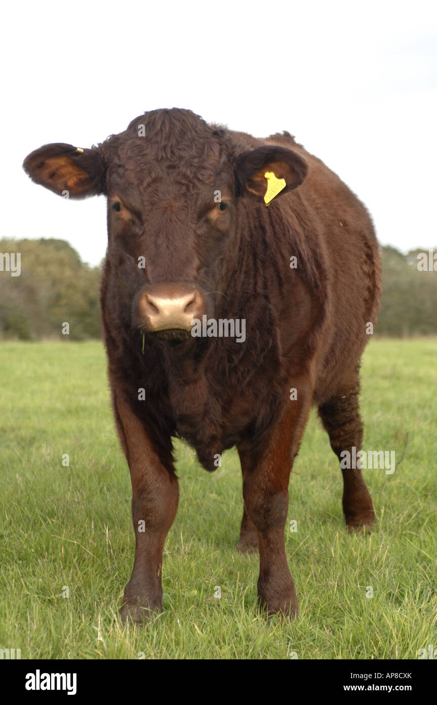 Eu and hill farmers hi-res stock photography and images - Alamy