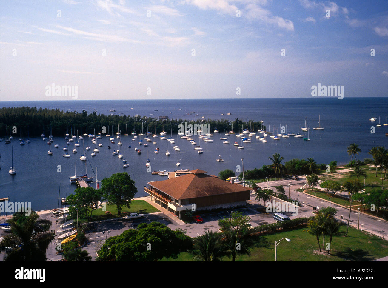Trees on island in sea, Coconut Grove, Miami, Miami-Dade County ...
