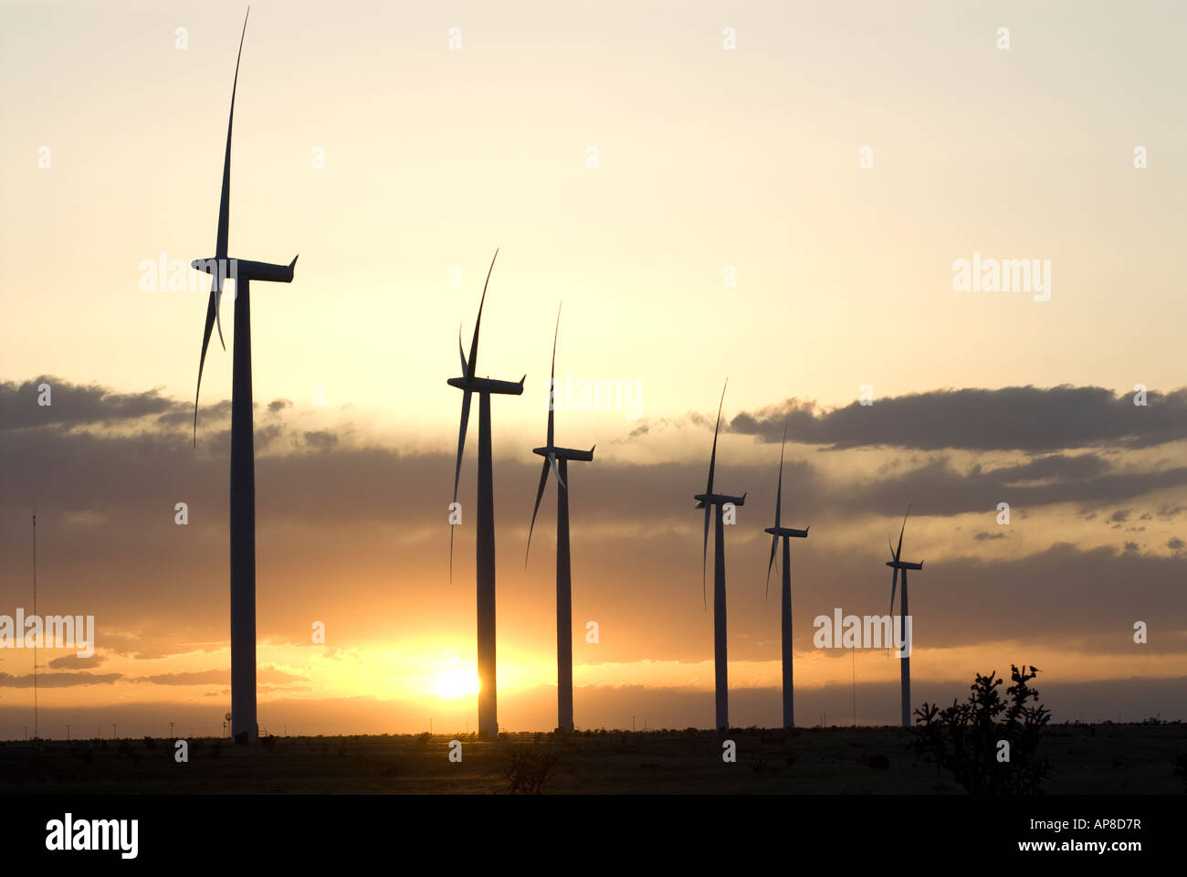 Wind turbines on Texas windfarm Stock Photo - Alamy