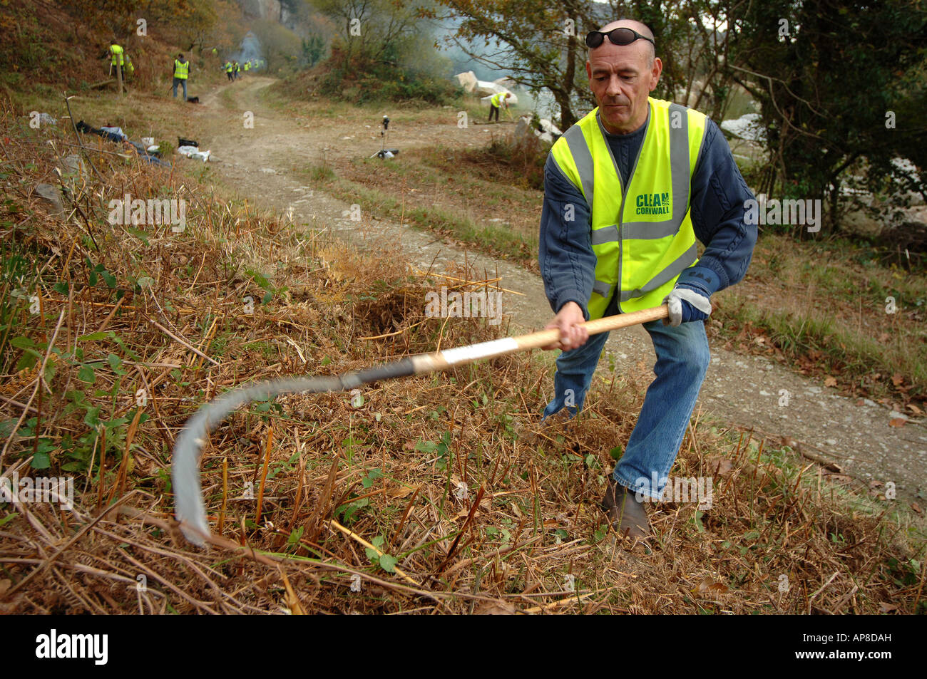 volunteers clearing trees in hi visibility jackets hi vis Stock Photo ...