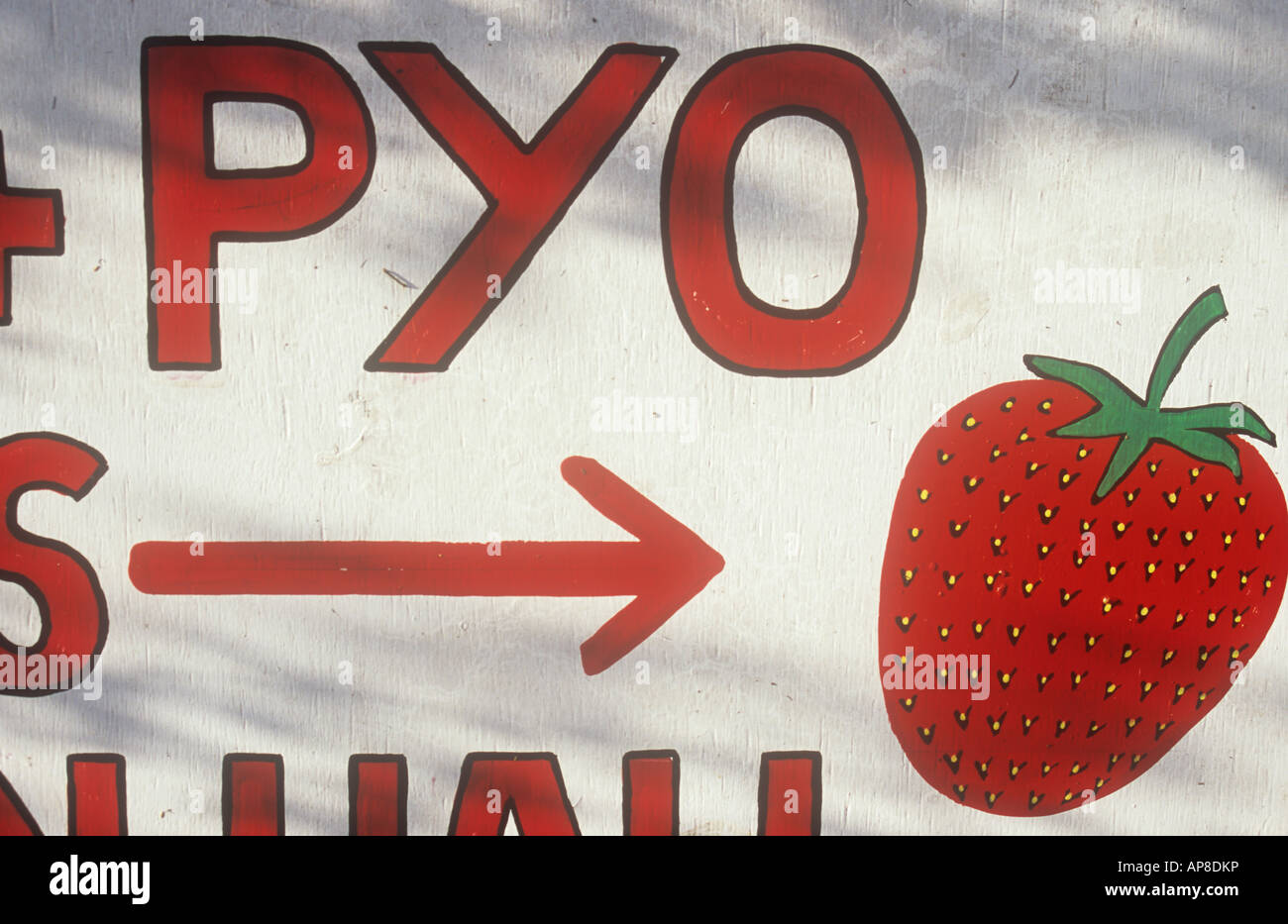 Sign in dappled light painted red on white stating PYO with an arrow ...