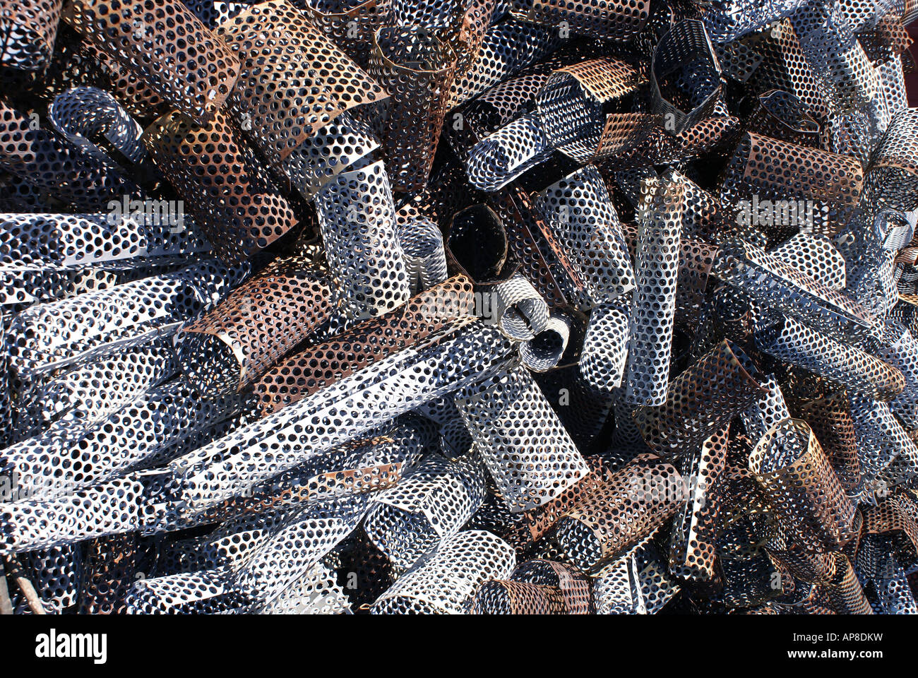 Wrap around trees branches hi-res stock photography and images - Alamy