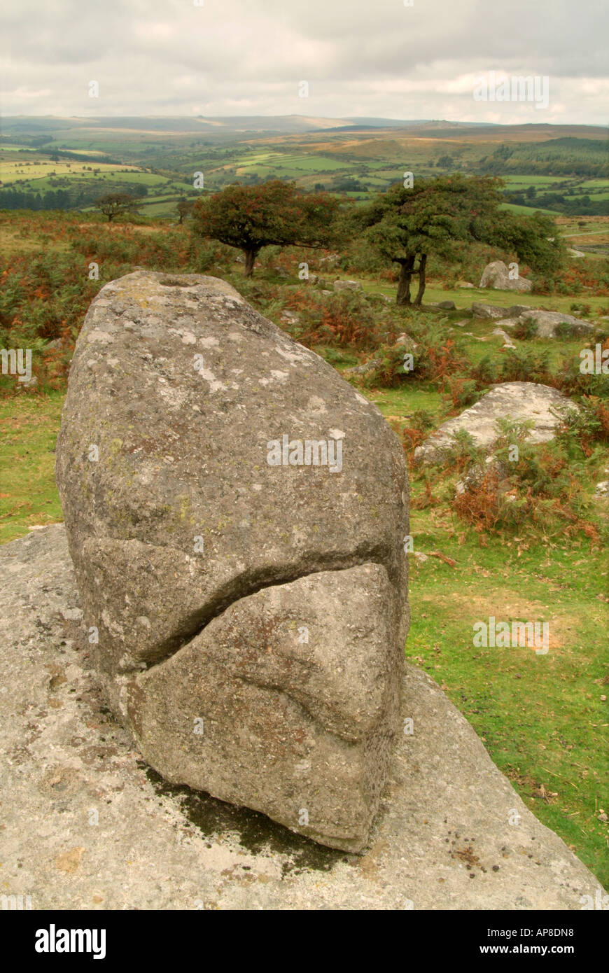Combestone tor, Dartmoor, Devon, UK Stock Photo - Alamy