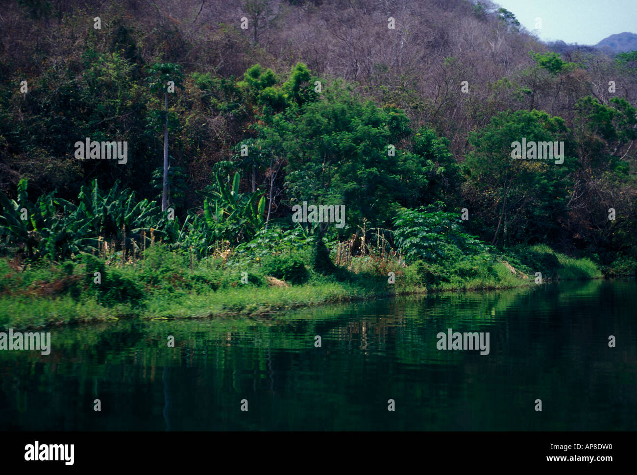 Guerrero viejo hi-res stock photography and images - Alamy