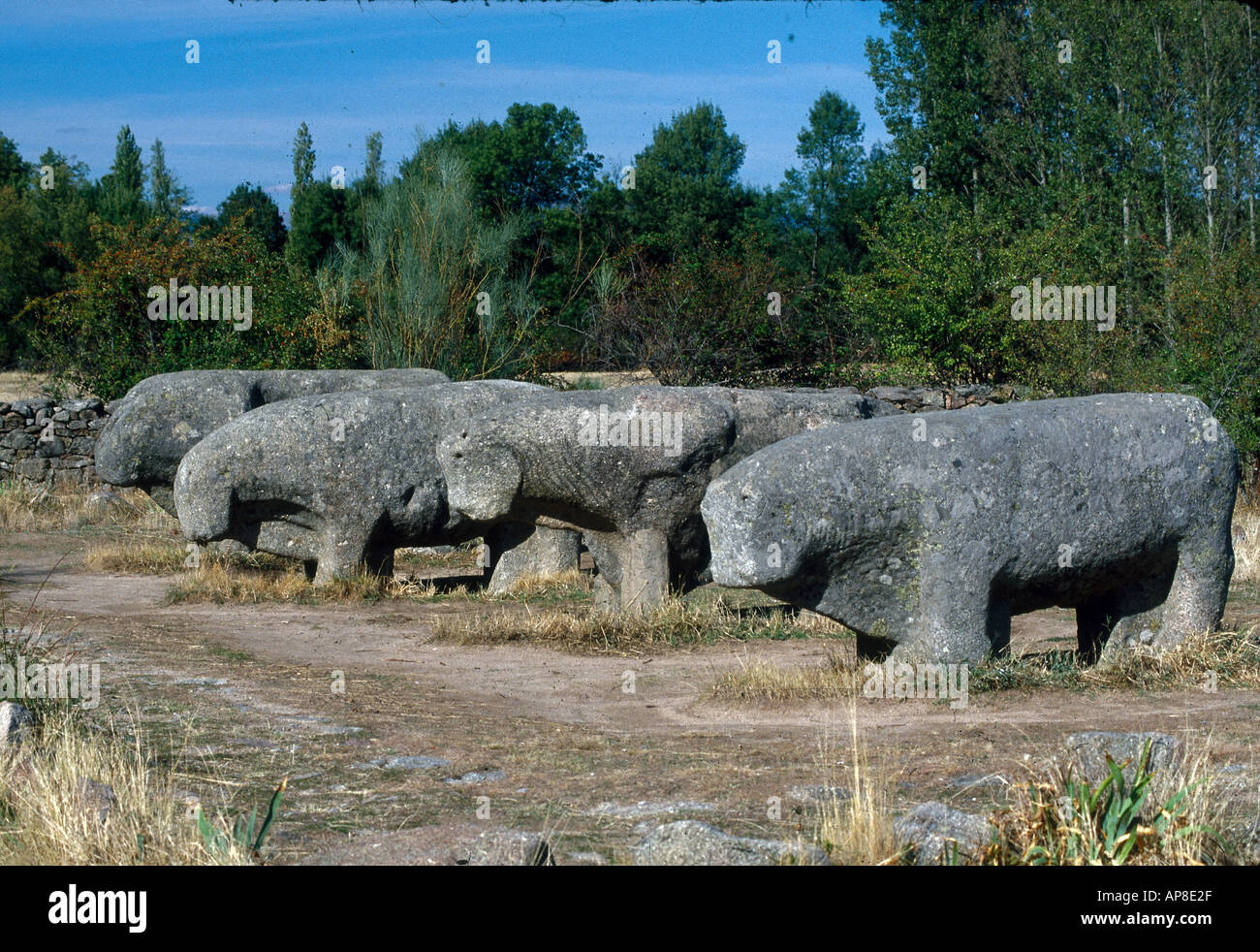 Side profile of statues of bulls, Avila, Spain, Europe Stock Photo - Alamy