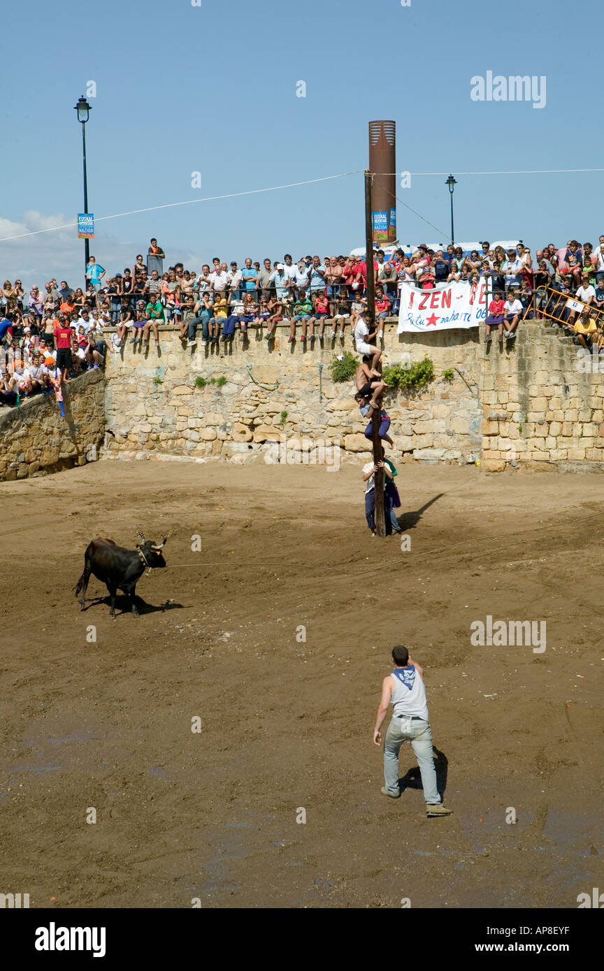 Cuadrilla tries to attract attention of bull Sokamuturra bull running ...