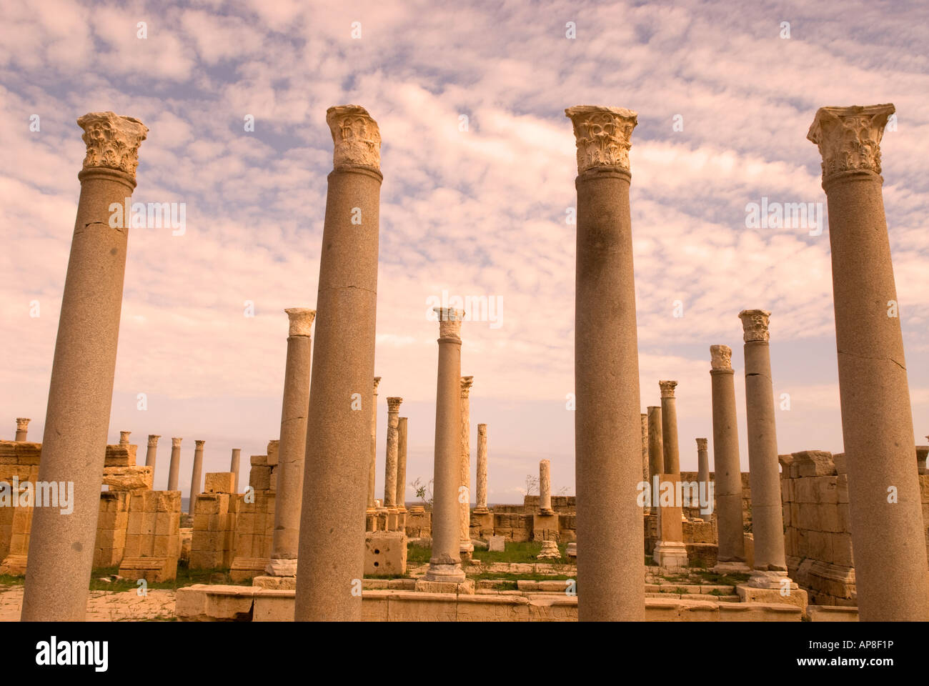 City of leptis magna hi-res stock photography and images - Alamy