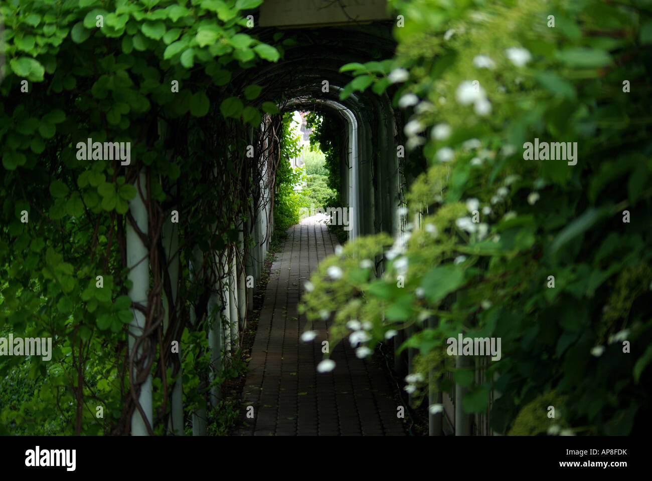Library of the warsaw university buw hi-res stock photography and ...