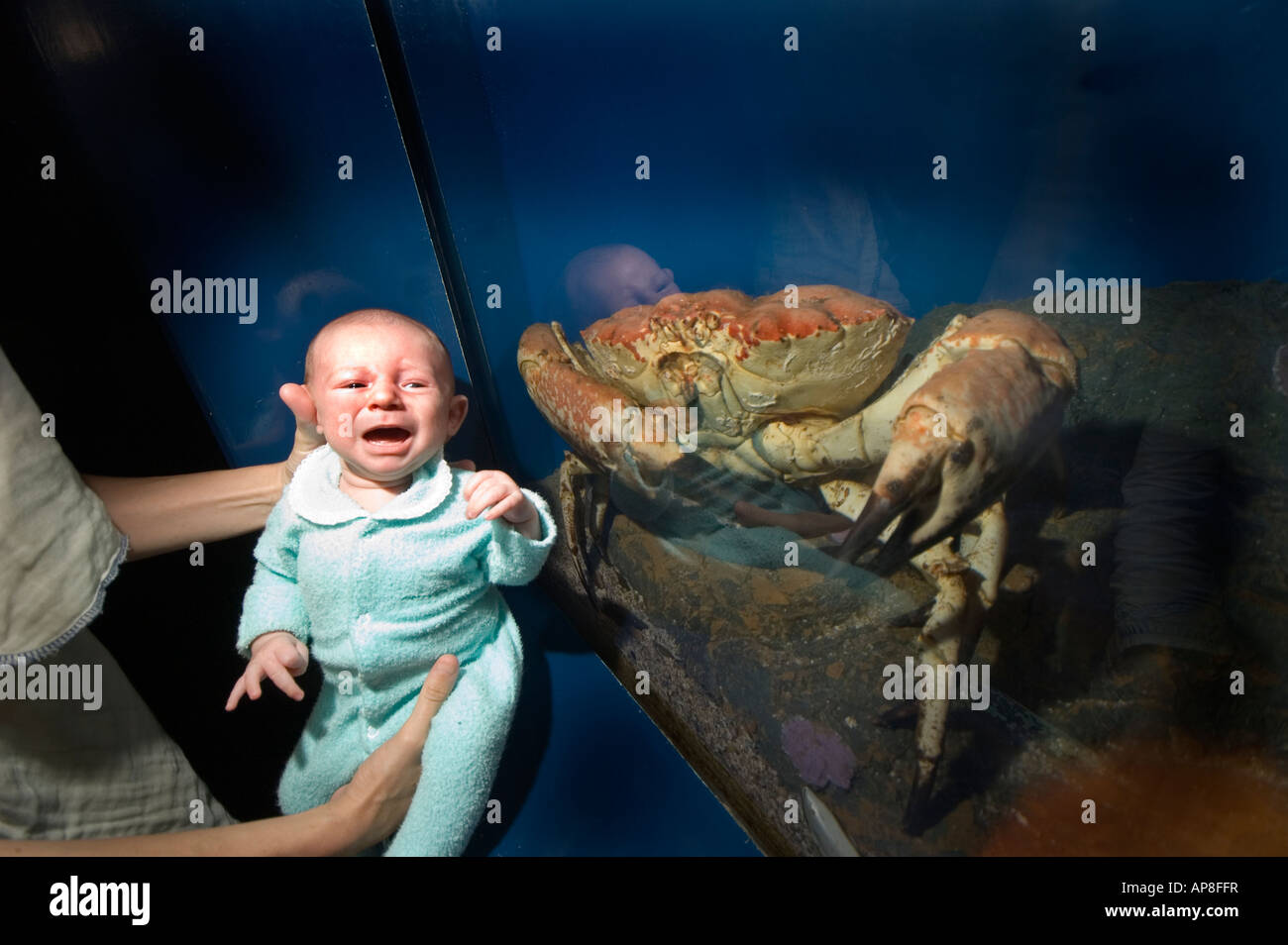 Scared crying baby hi-res stock photography and images - Alamy