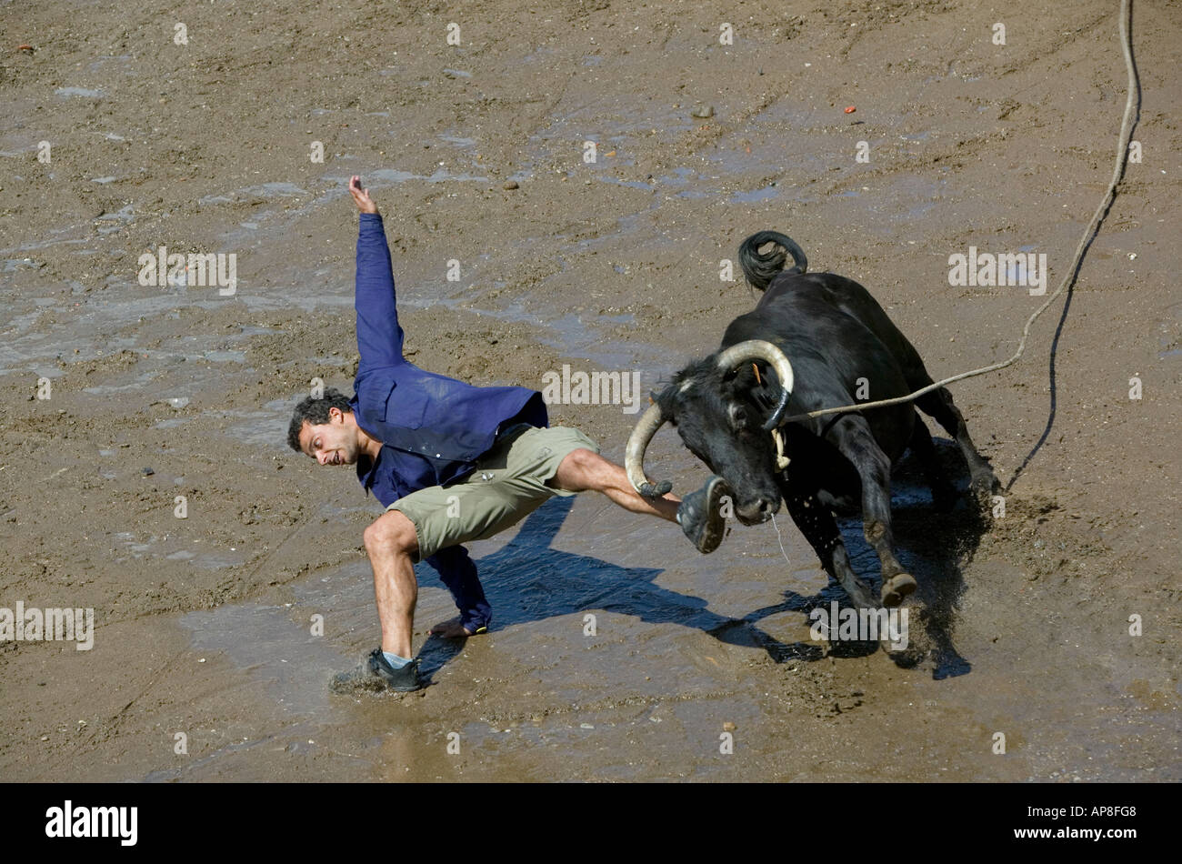 Charging bull knocks fleeing man to ground Sokamuturra bull running ...