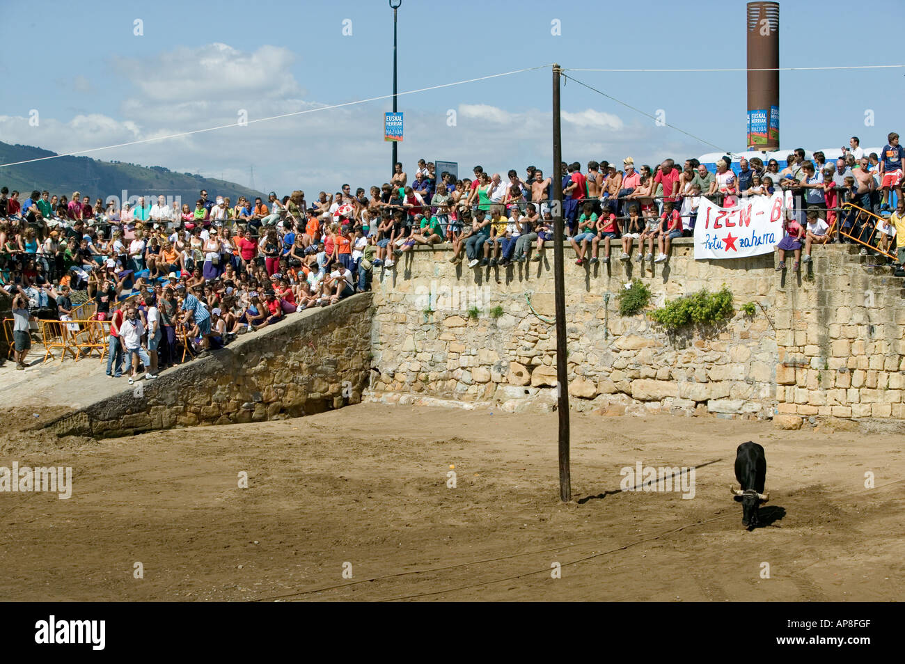A lone bull waits in deserted harbour Sokamuturra bull running event ...