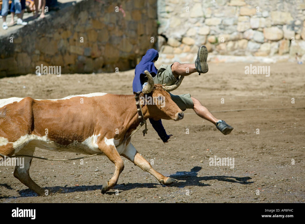 Bull throws man into air with horns Sokamuturra bull running event ...