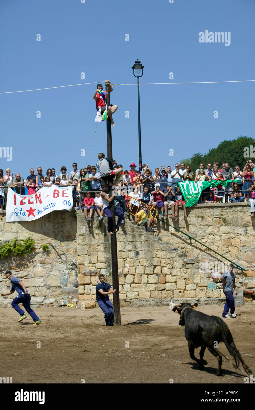Bull charges as members of human tower run for safety Sokamuturra bull ...